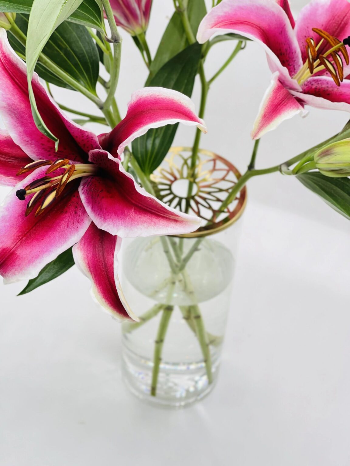 Home Collection: Pink Lilies | Dancing Daisy